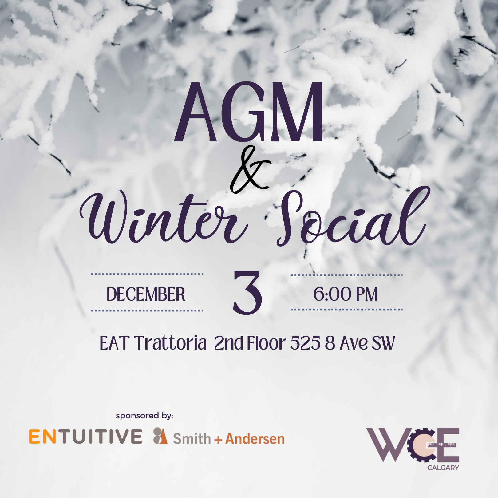 AGM & Winter Social – Women in Consulting Engineering